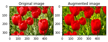 Top Data Augmentation Techniques: Ultimate Guide for 2023