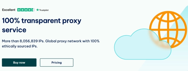 Top 7+ Proxy Providers: Pricing & Features Compared in '25