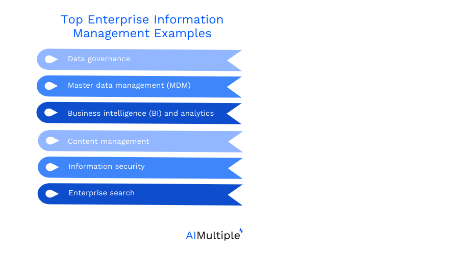 Best 6 Enterprise Information Management Examples [2025]